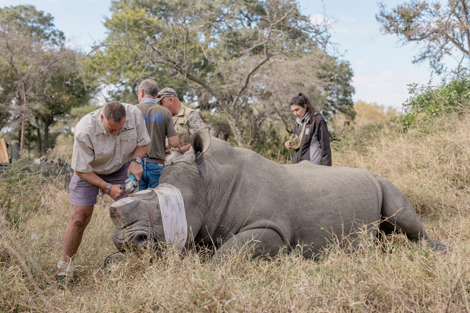 Home - Rhino Revolution Europe