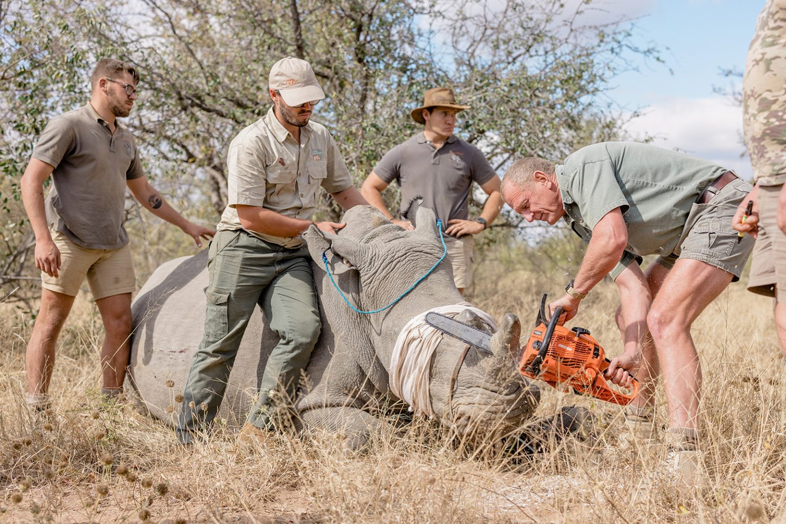 Home - Rhino Revolution Europe