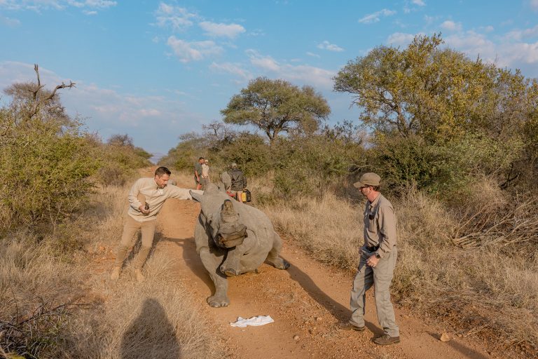 Home - Rhino Revolution Europe
