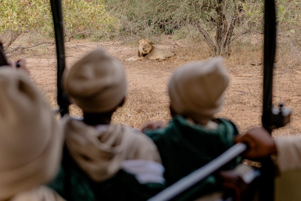 KORU CAMP 2025 - Rhino Revolution Europe